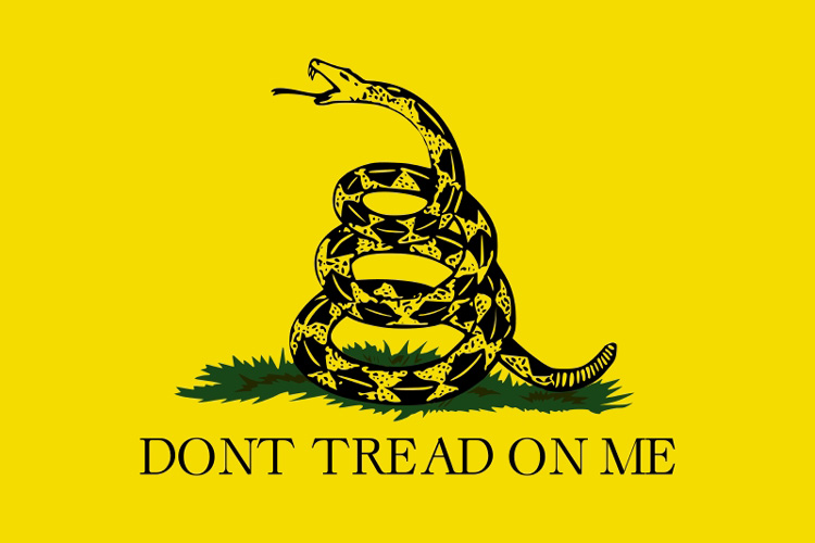 Modern Day Dixiecrats: The Tea Party Movement | Joshua Lawrence Lazard